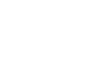 STI - Seguridad Técnica Integral